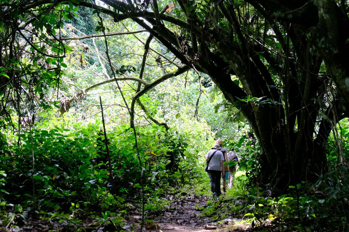 Mahale Mountain National Park | Xtrails Adventure Safaris